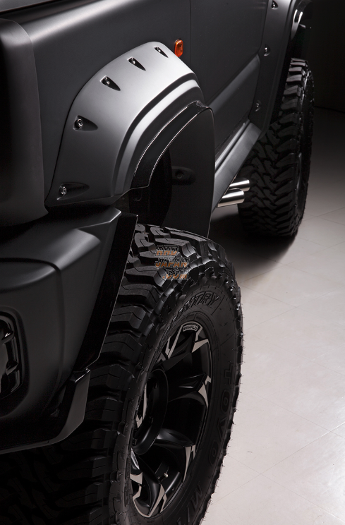 Wald Over Fender Set Sports Line Black Bison Edition FRP - JB64W JB74W ...