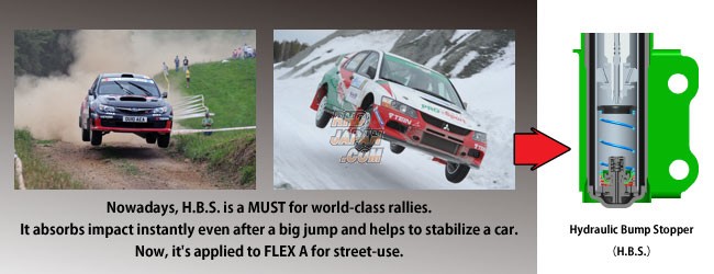 TEIN RX1 Coilover Suspension Full Set - Elgrand E51 ME51 MNE51 NE51 - RHDJapan